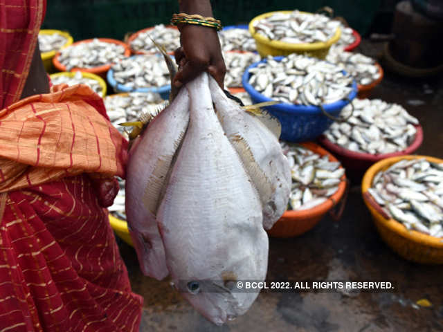 What happens when you eat fish laced with formalin?