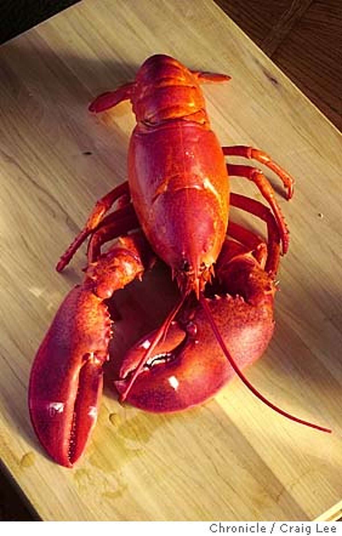 What happens when you microwave a lobster?