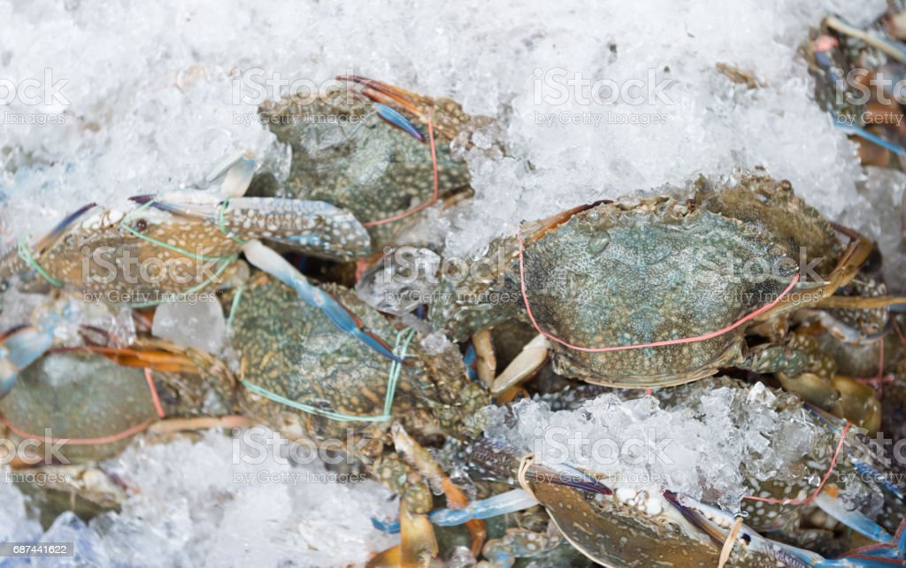 What happens when you put a crab on ice?