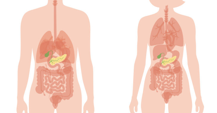 What happens when your pancreas does not function properly?