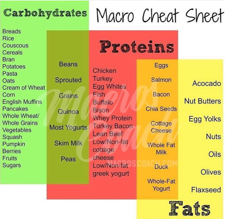 What has a lot of protein but no carbs or fat?