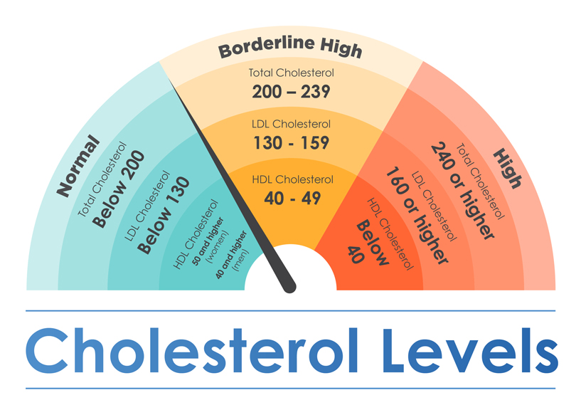 What has the least amount of cholesterol?