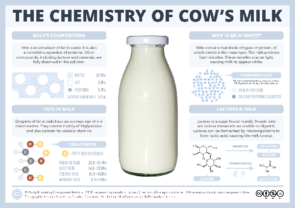 What has the same protein as milk?