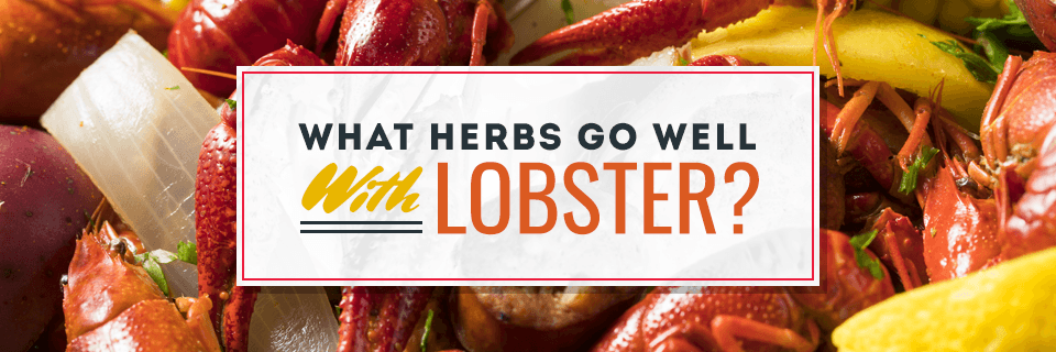 What Herb goes well with lobster?