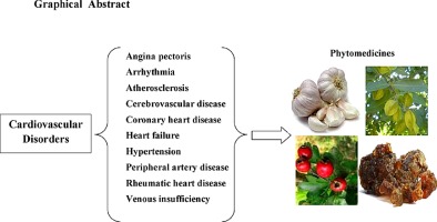 What herb may cause heart attacks?