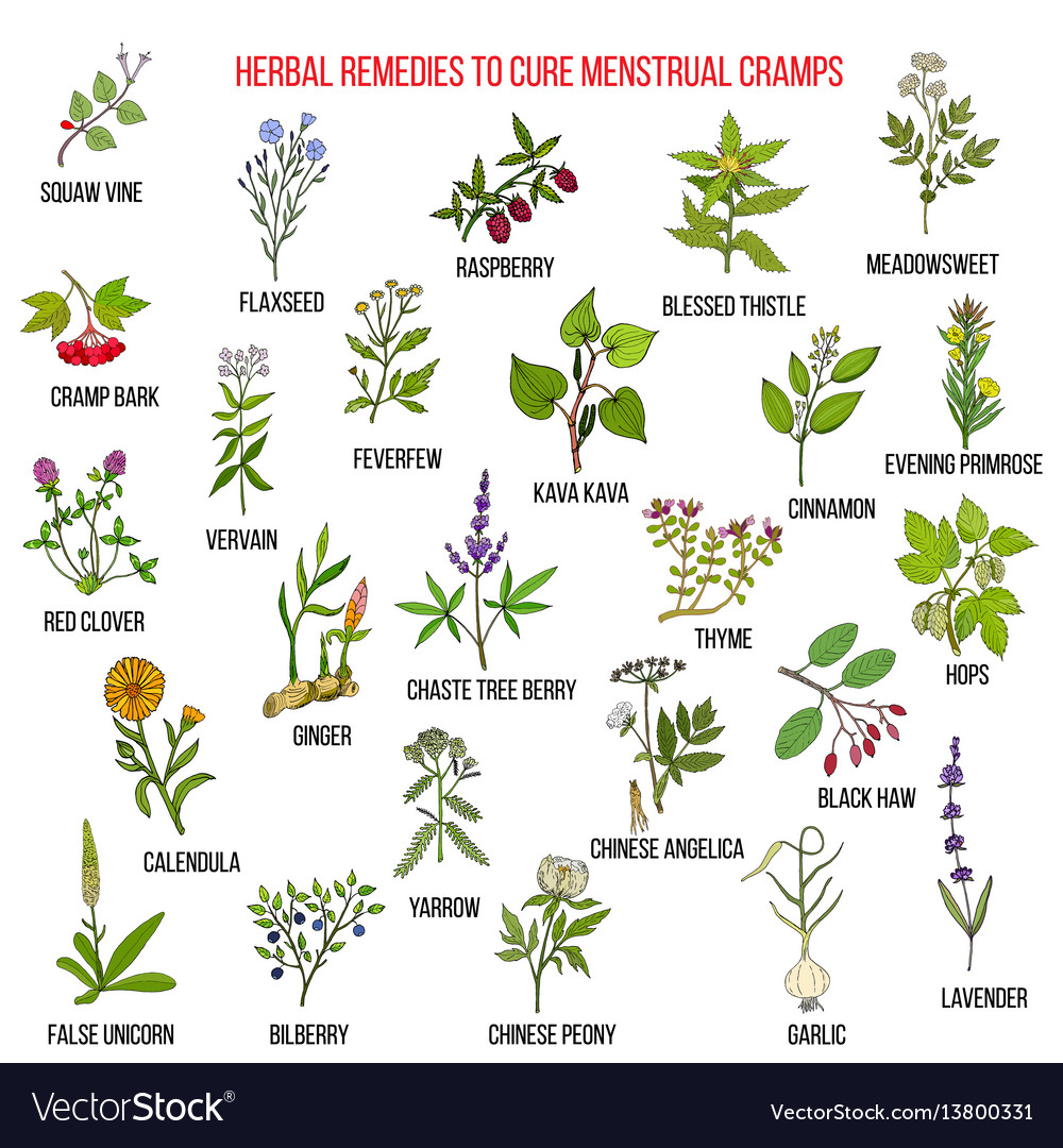 What herbs are good for periods?