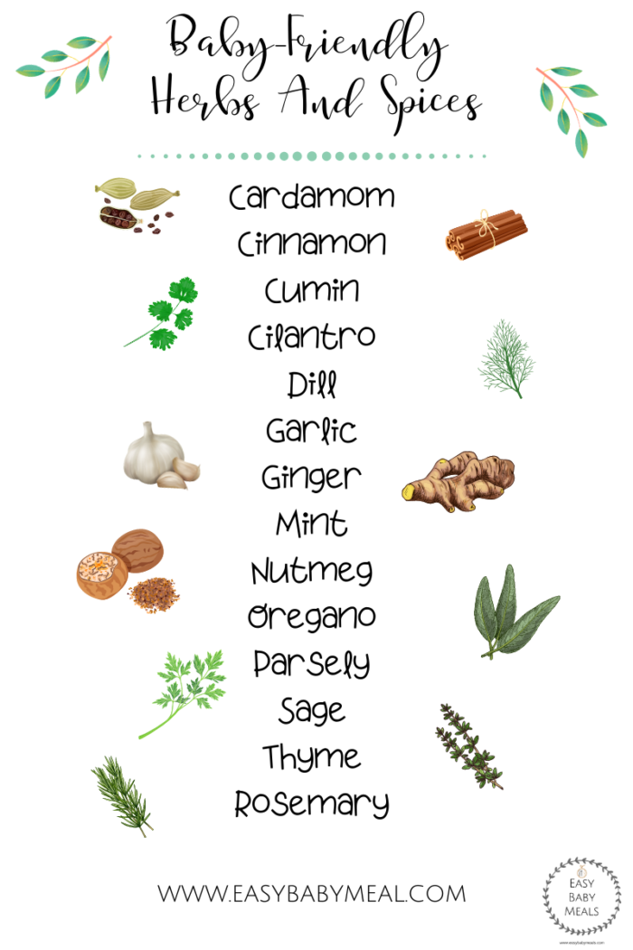 What herbs are not good for babies?