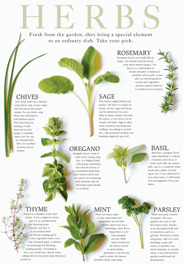 What herbs are used as medicine?