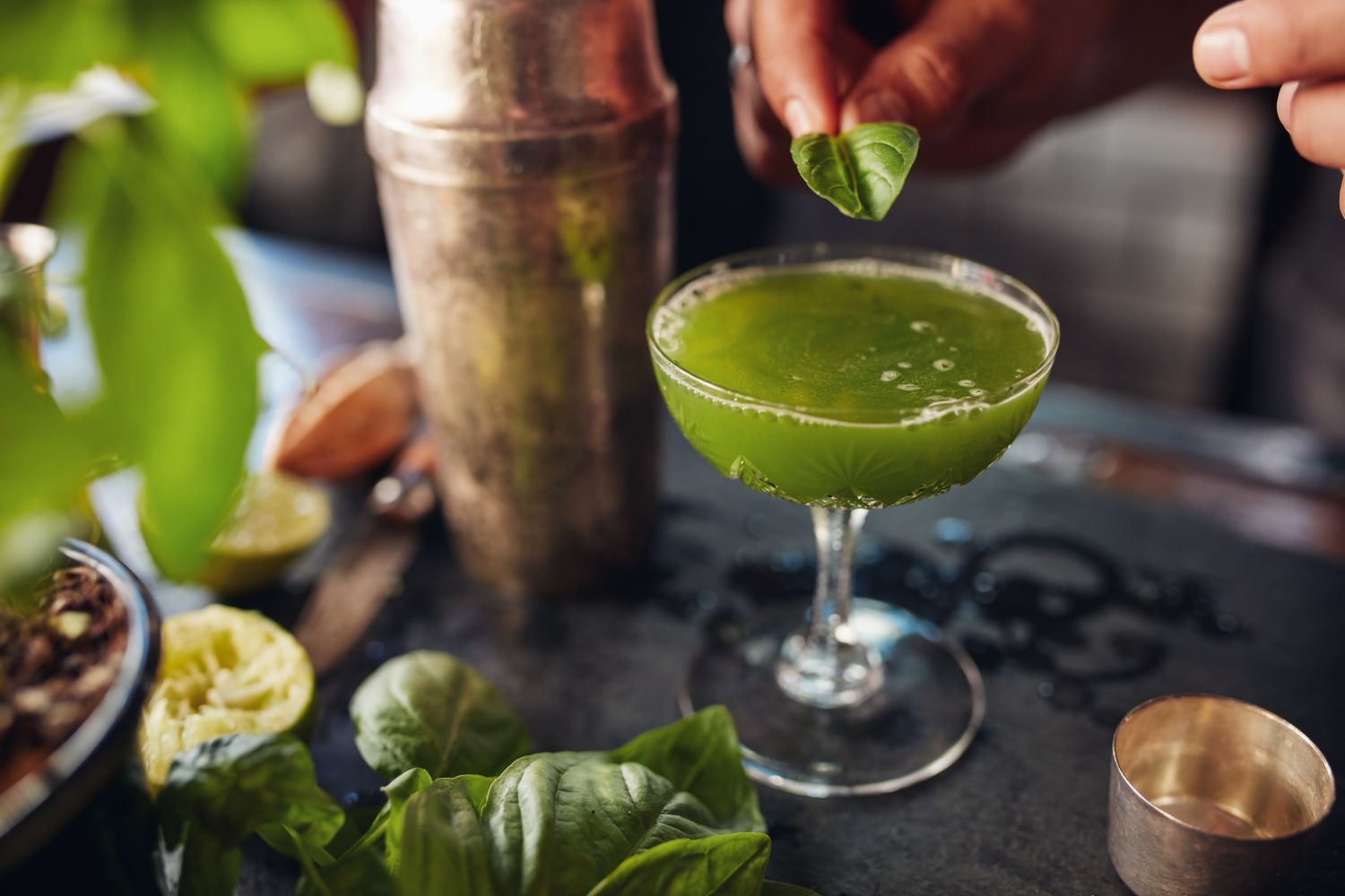 What herbs can you put in cocktails?
