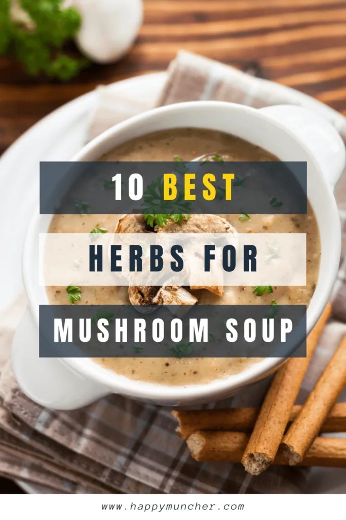 What herbs go well in soup?