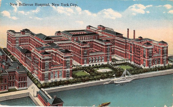 What hospital does New Amsterdam represent?