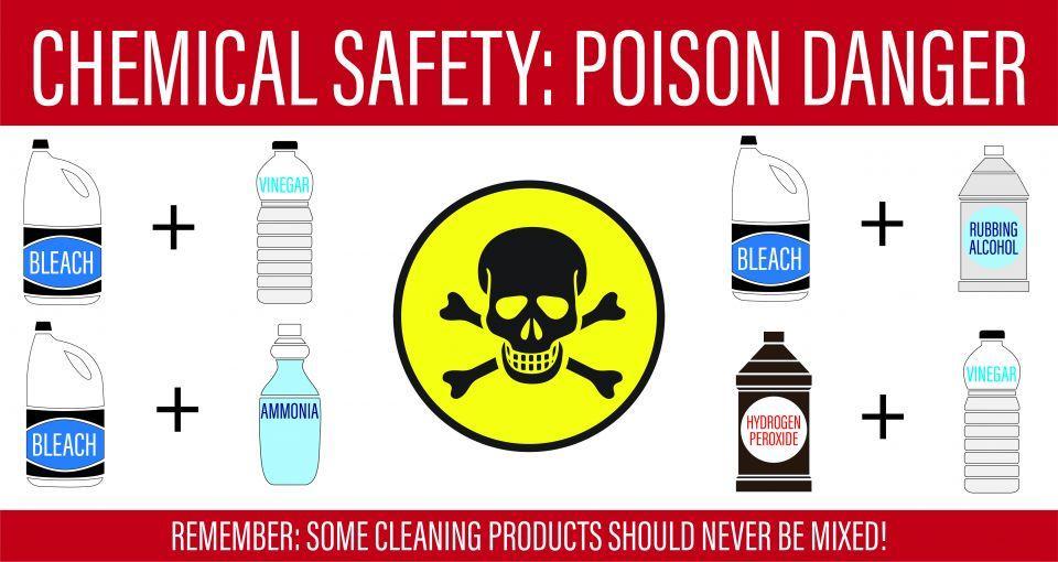 What household chemicals are toxic to humans?
