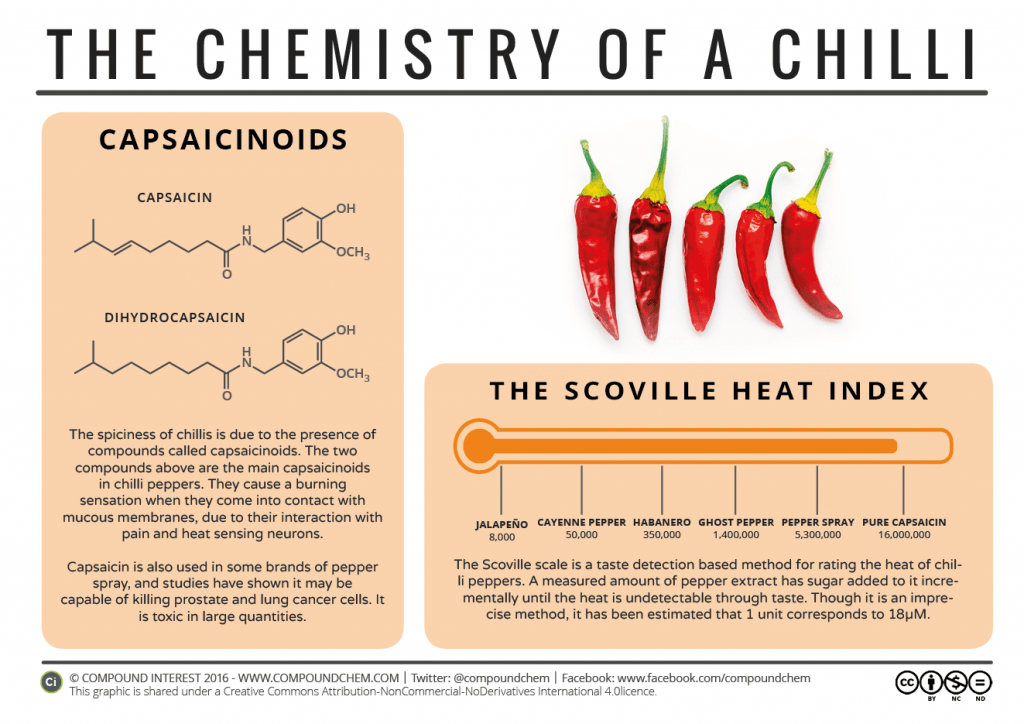 What ingredient makes chili peppers hot?