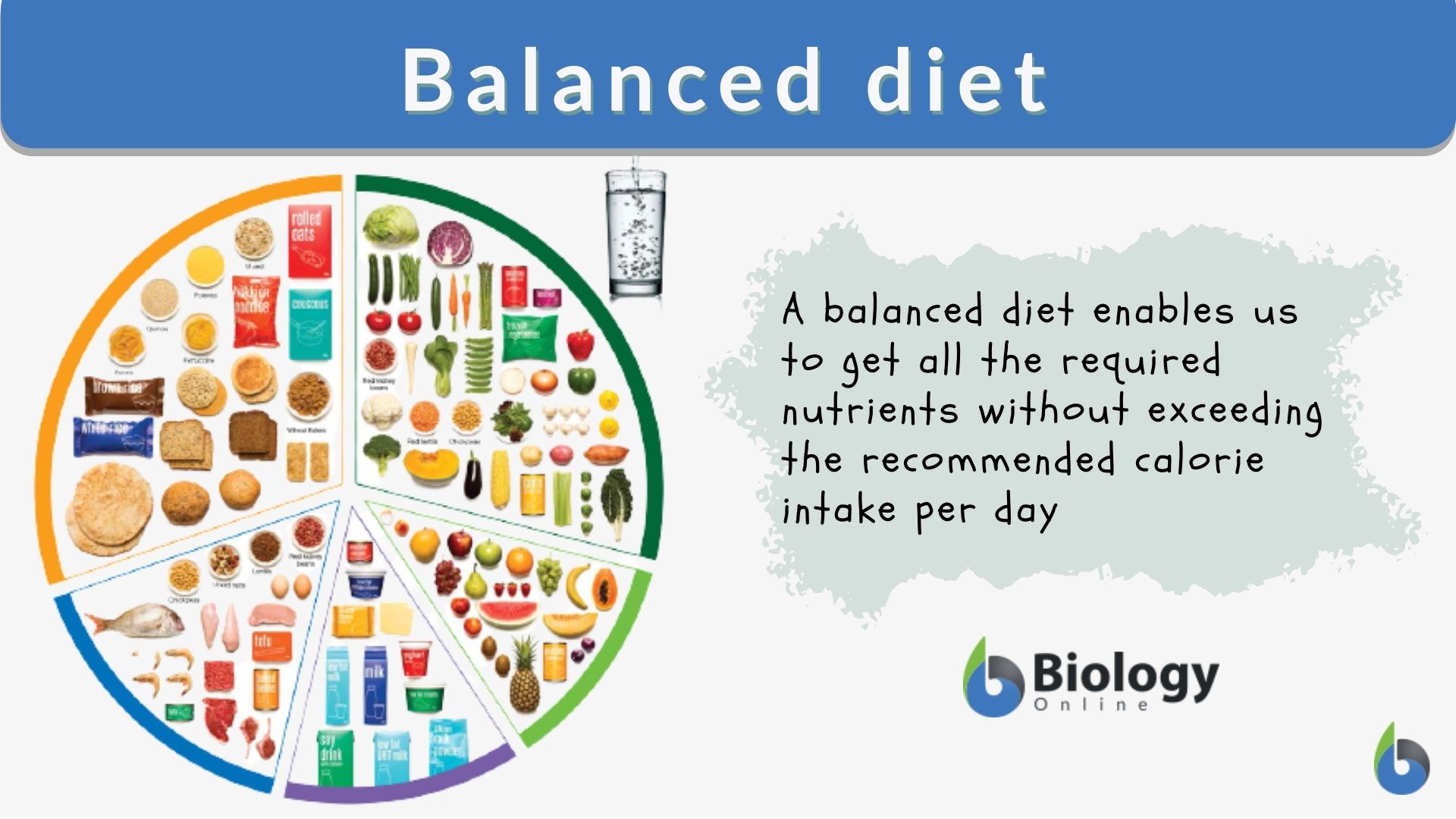 What is a balanced diet in biology?