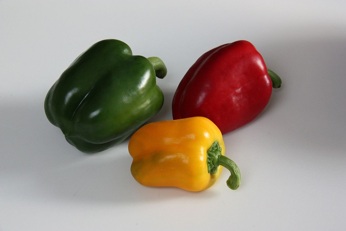 What is a bell pepper classified as?