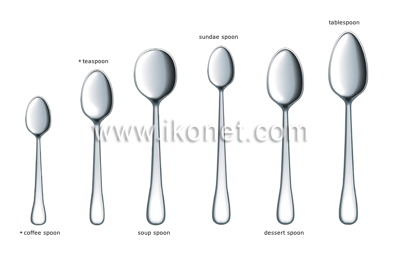 What is a big spoon called?