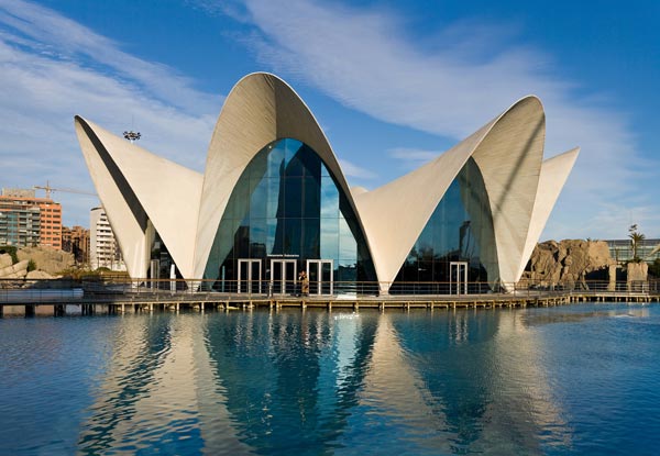 What is a concrete shell structure?