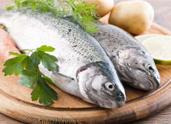 What is a fish diet and is it good or bad?