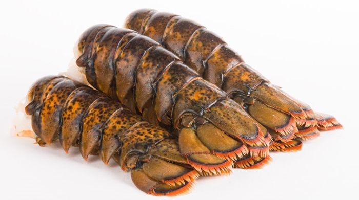 What is a good price for frozen lobster tails?