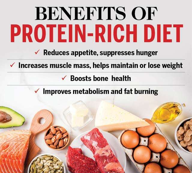 What is a good protein to eat everyday?