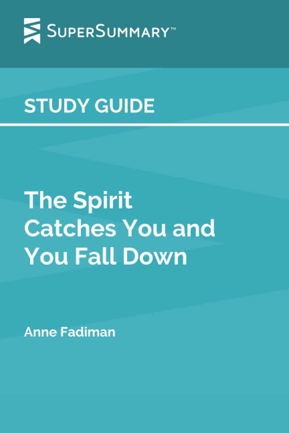 What is a good study guide for the spirit catches you and you?