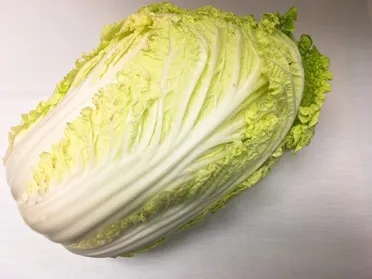 What is a good substitute for kimchi cabbage?