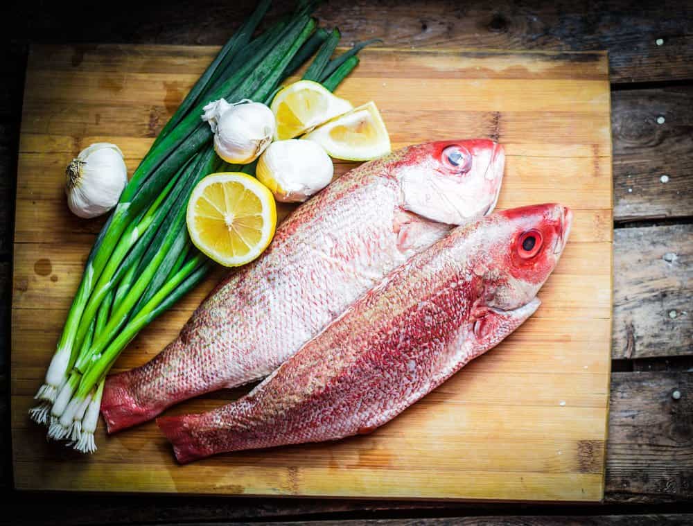 What is a good substitute for snapper fish?