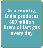 What is a healthy number of farts per day?