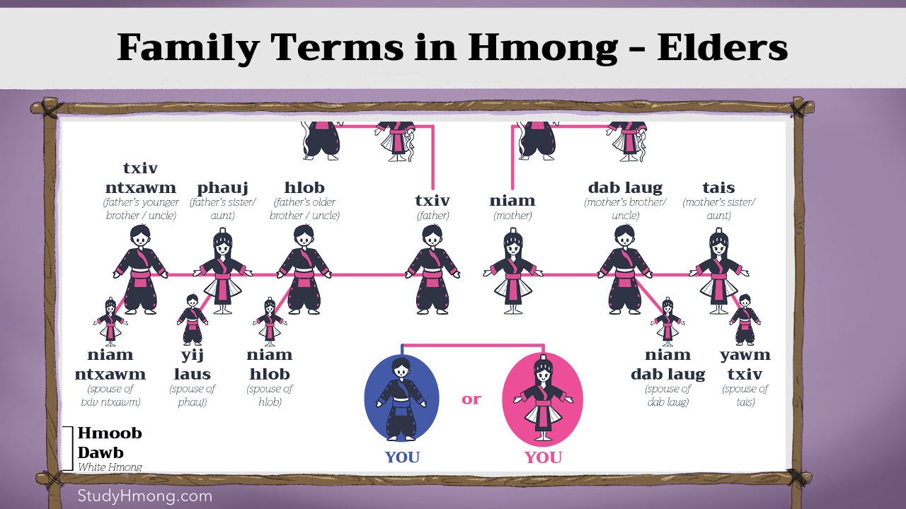 What is a Hmong family?