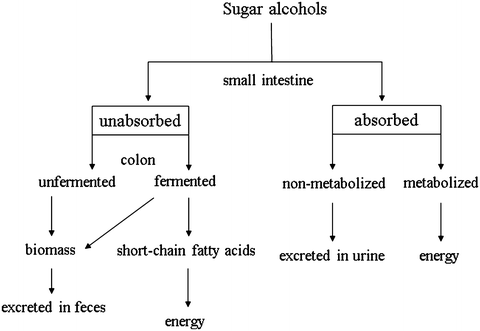 What is a negative effect of sugar alcohols?