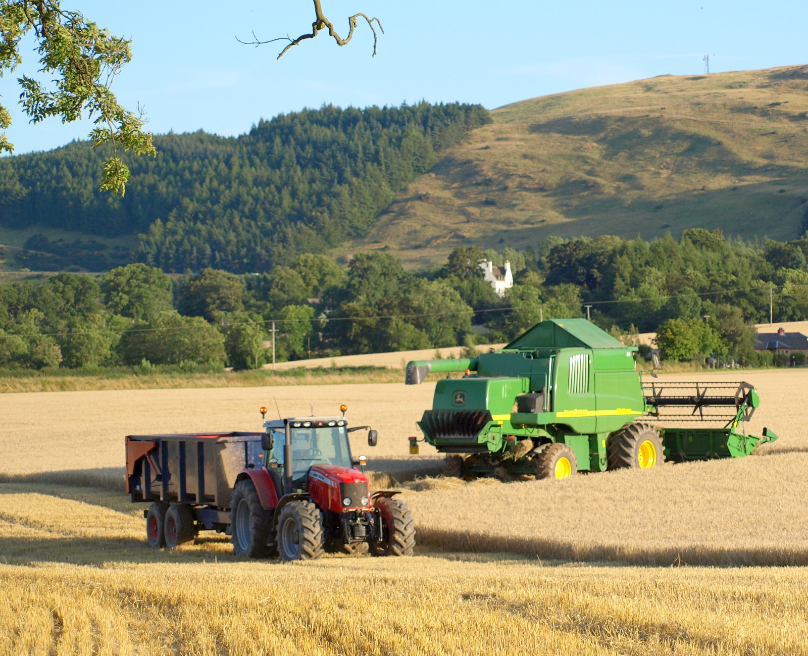 What is a Scottish farmer called?