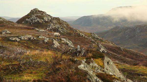 What is a Scottish hillside called?