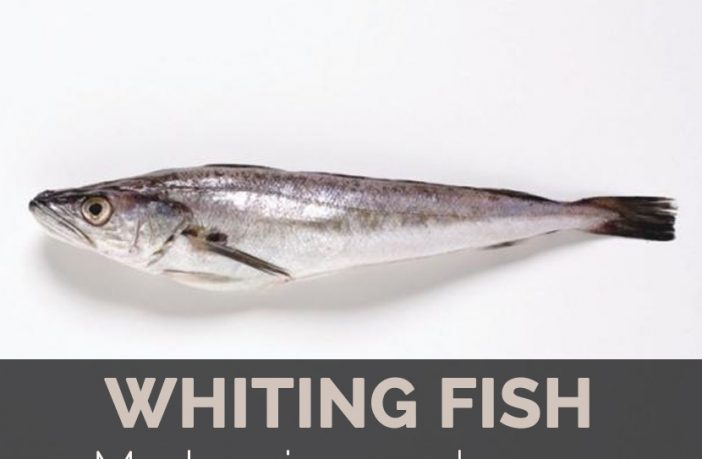 What is a serving of Whiting?