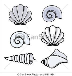What is a shell simple?