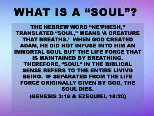 What is a soul according to the Bible?