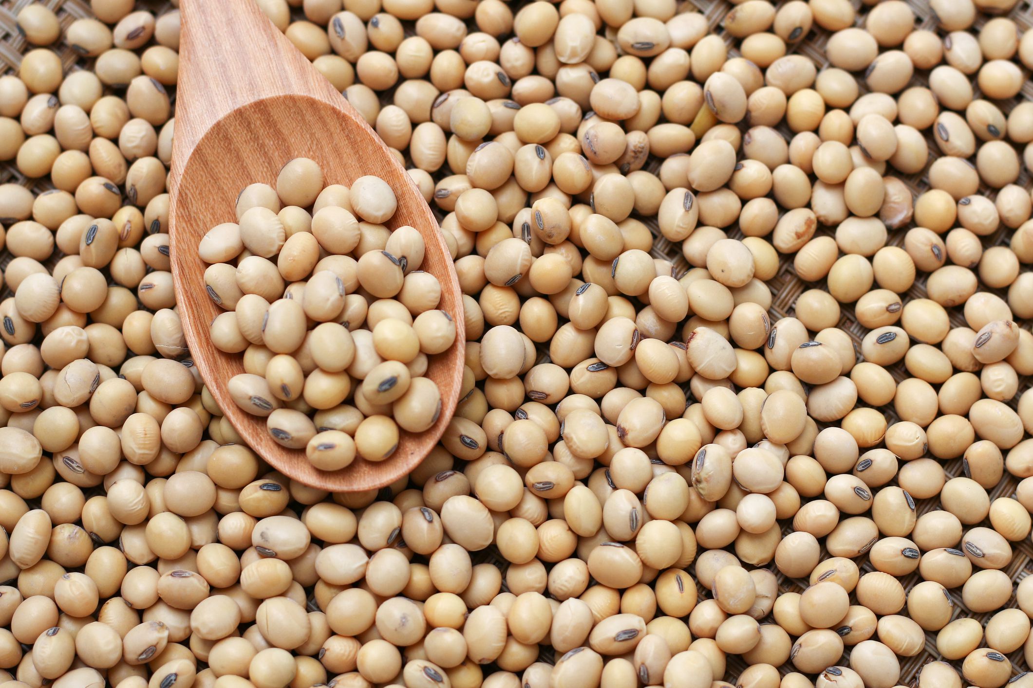 What is a soy bean considered?