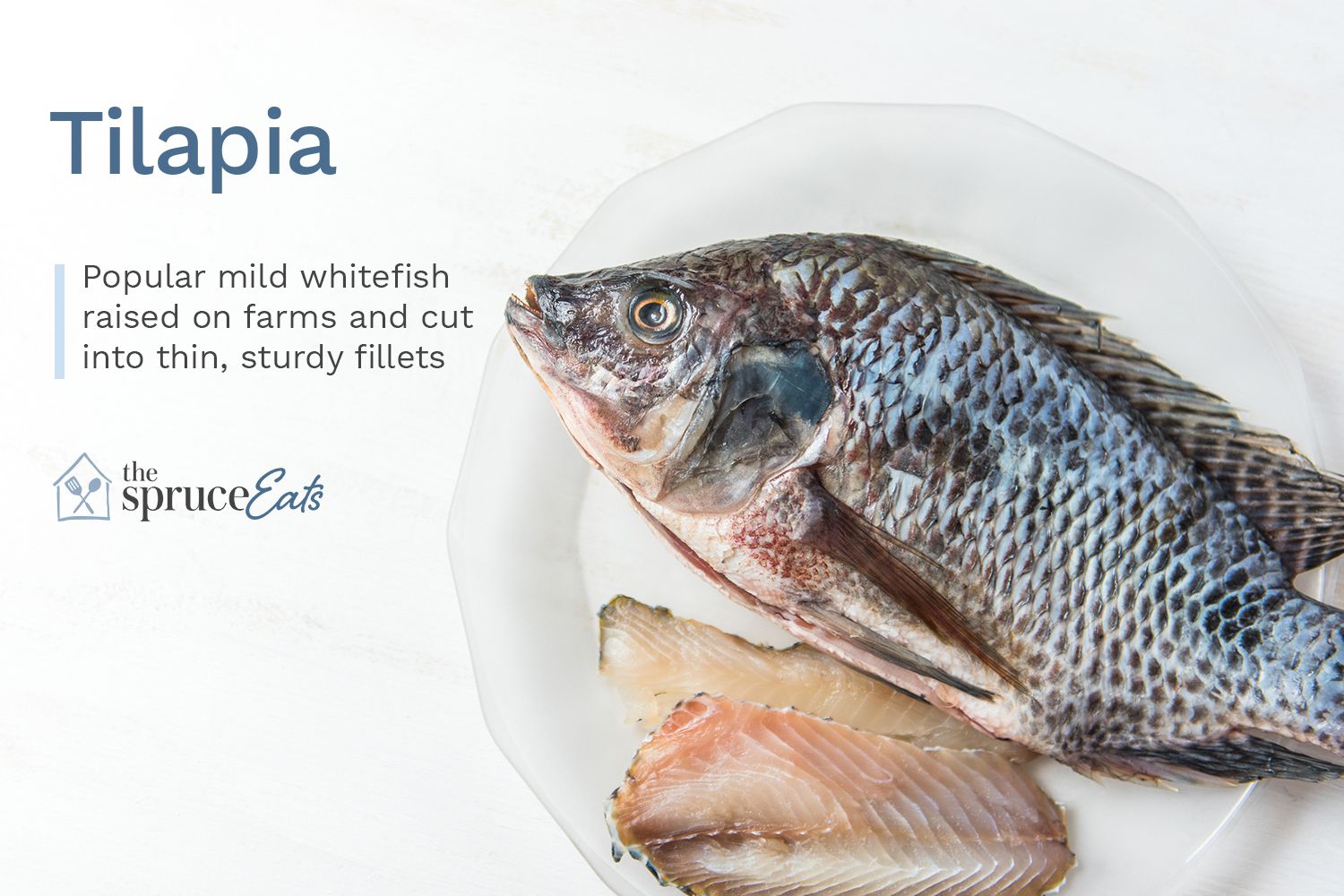 What is a tilapia fillet?