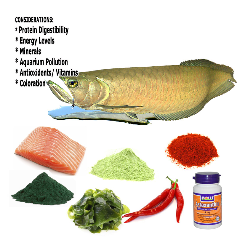 What is a typical fish food?