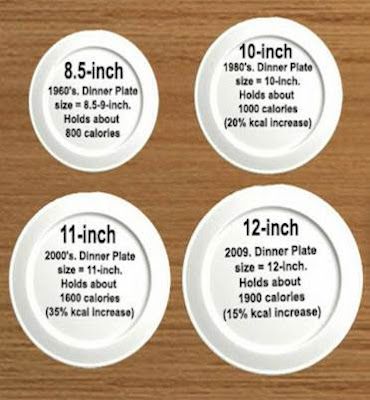 What is a typical plate size?