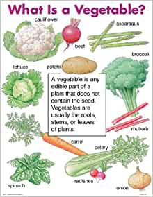 What is a vegetable?