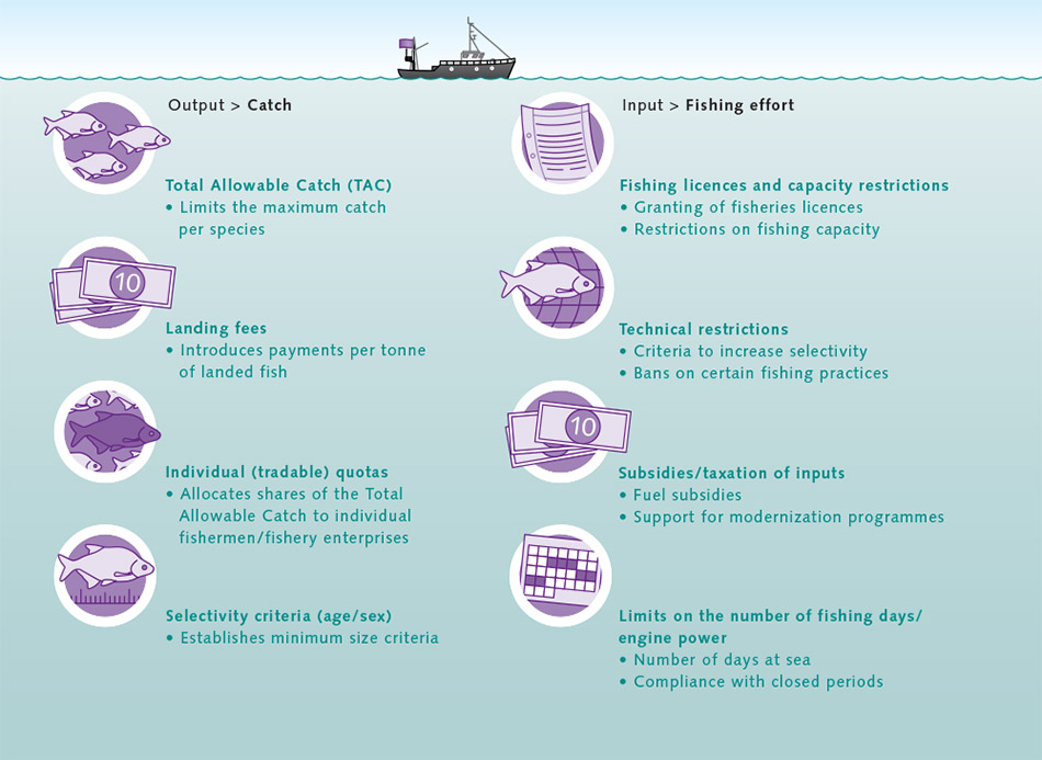 What is a well managed fishery?