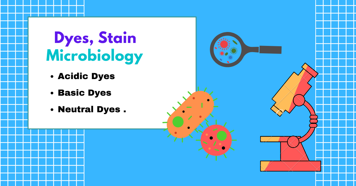 What is acidic dye in microbiology?