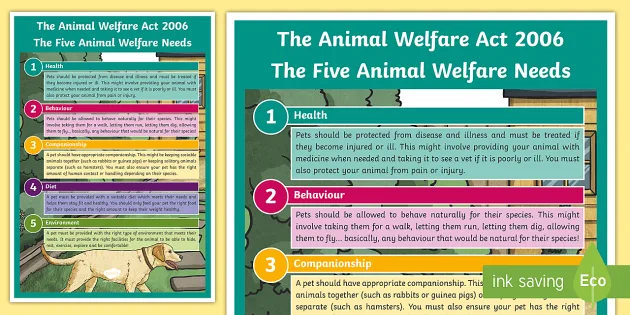 What is an animal under the Animal Welfare Act?