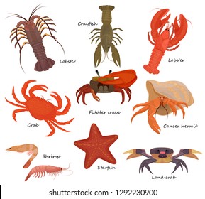 What is an example of a crustacean?
