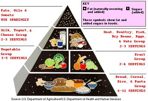 What is an example of a low-fat diet?