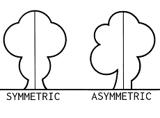 What is an example of asymmetrical balance?