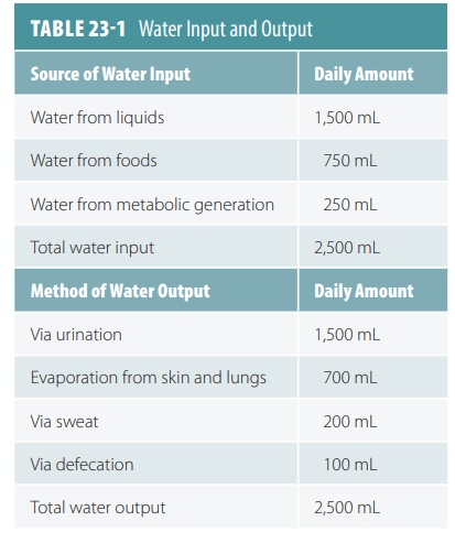 What is an example of fluid intake?