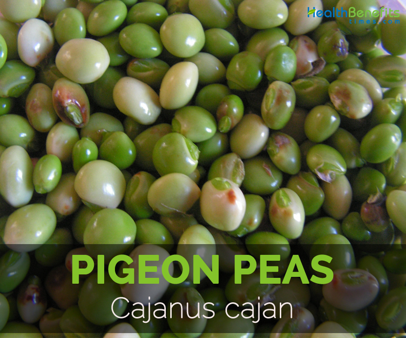 What is another name for pigeon peas?