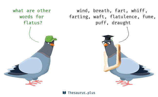 What is another word for flatus?