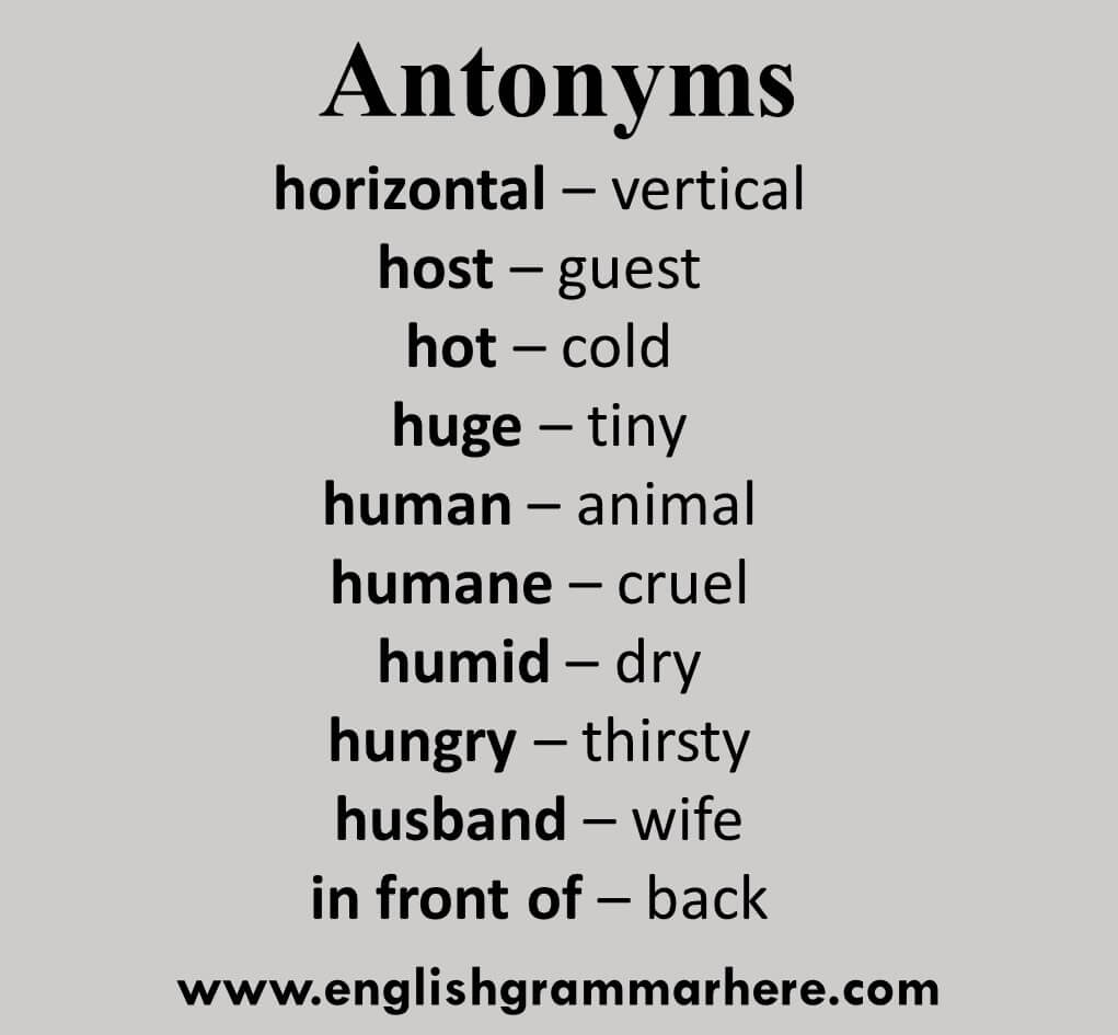 What is antonyms give 2 examples?